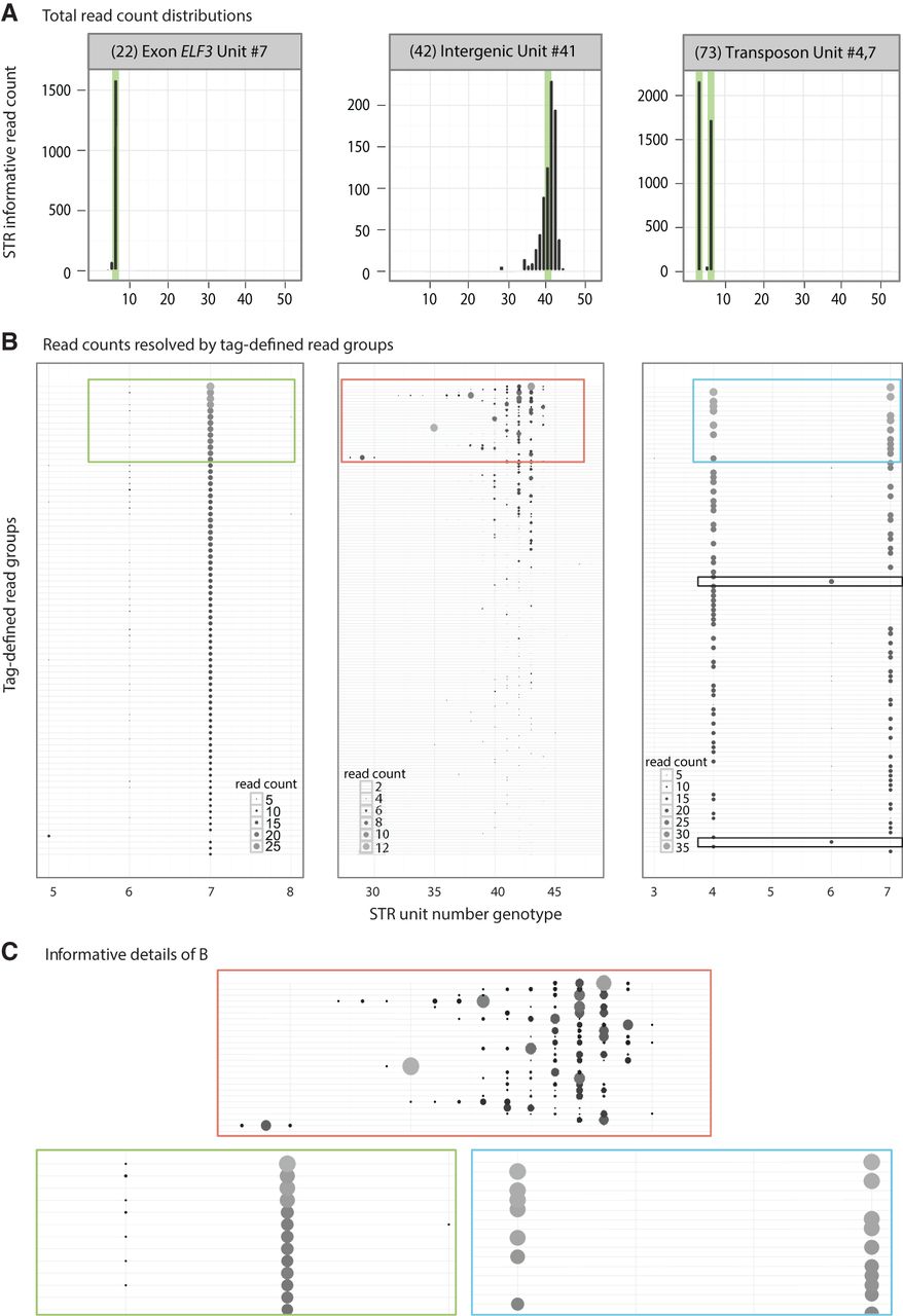 MIPSTR: a method for multiplex genotyping of germline and somatic STR ...