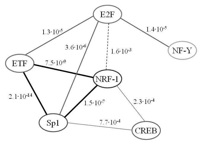 Supplemental Research Data